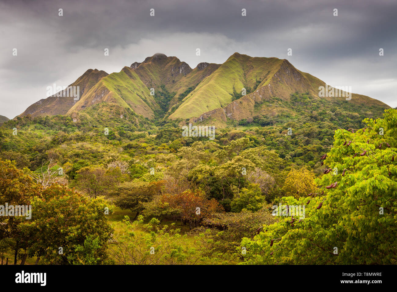 Los Picachos High Resolution Stock Photography and Images - Alamy