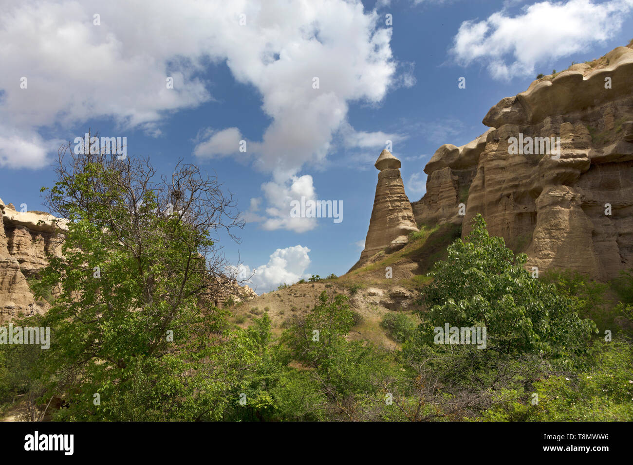 Red and white sandstone cliffs, ancient caves in a mountain landscape ...