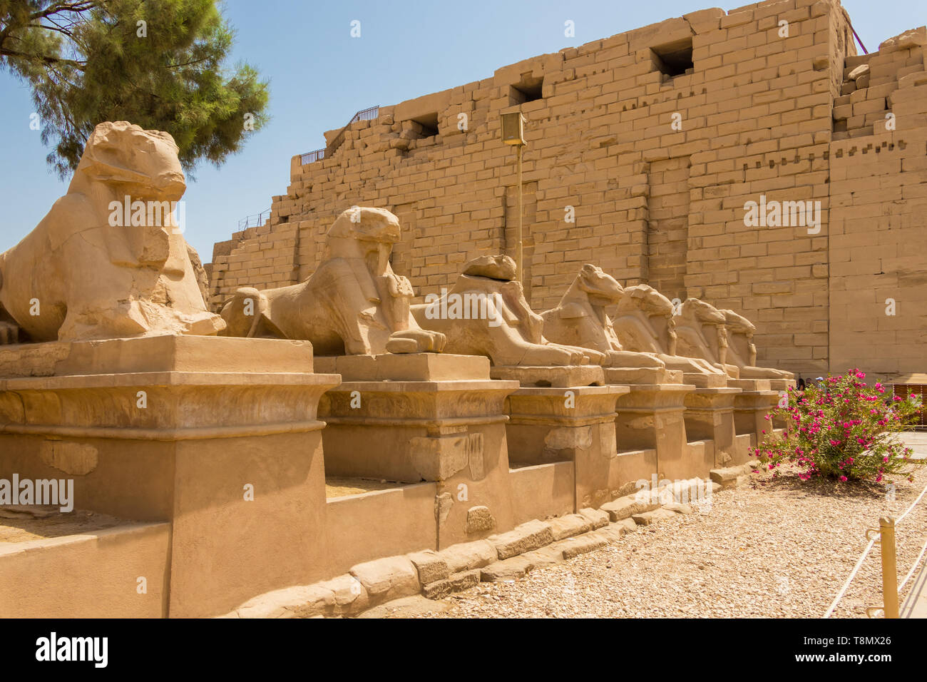 Goat headed sphinxes hi-res stock photography and images - Alamy