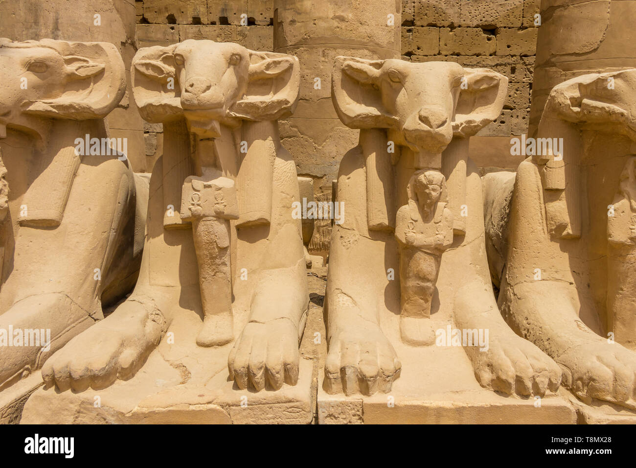Goats headed sphinxes - Criosphinxes in the ancient city of Thebes ...