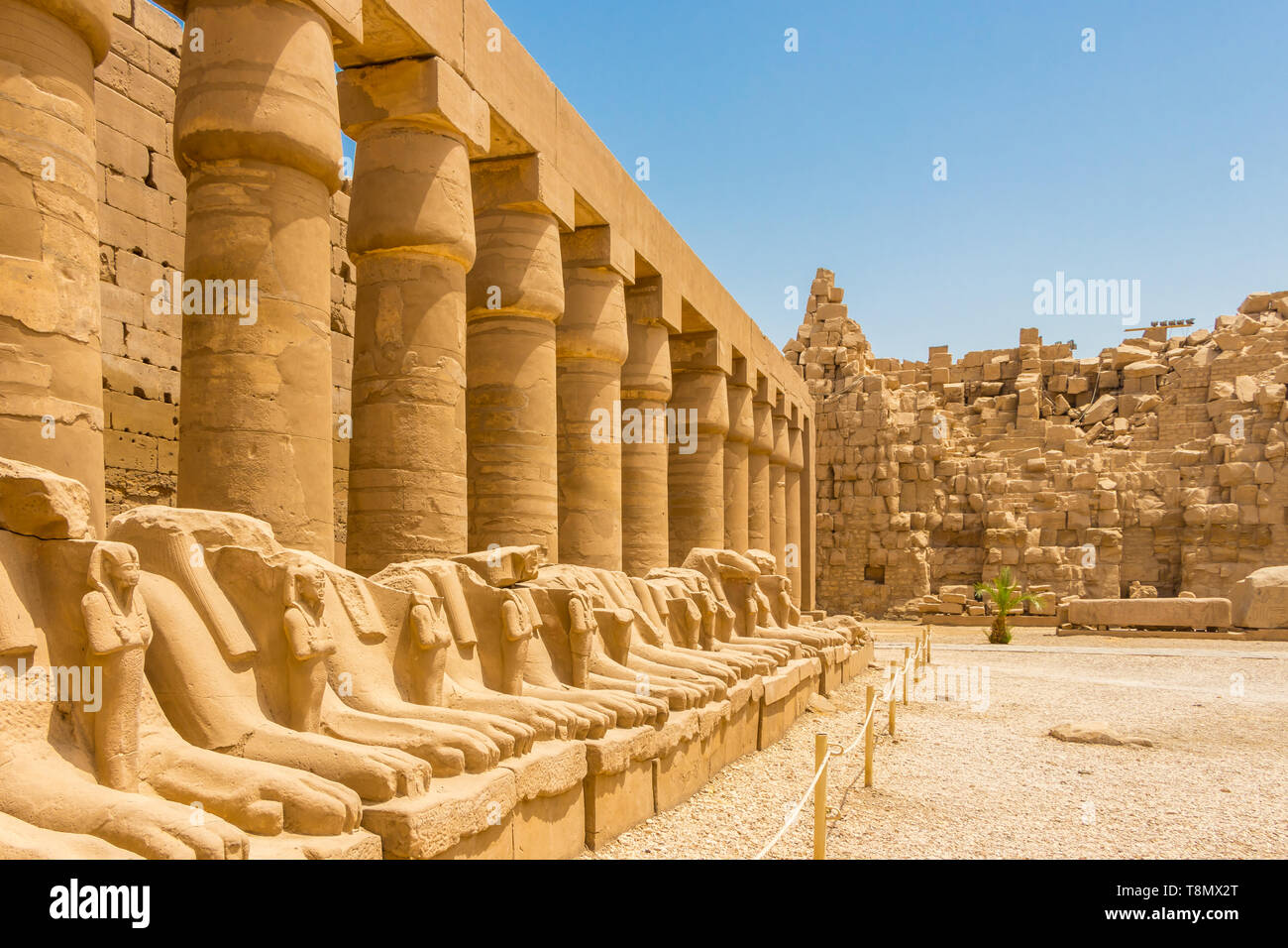The great columns at the Karnak Temple and the Criosphinxes - Goats ...