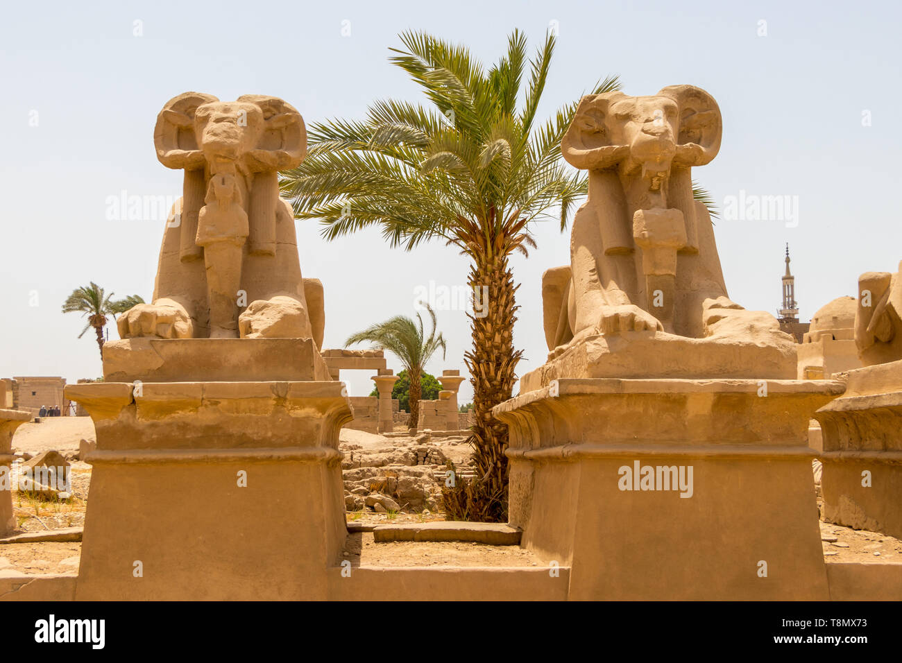 Goats headed sphinxes and the palm tree in the ancient city of Thebes ...