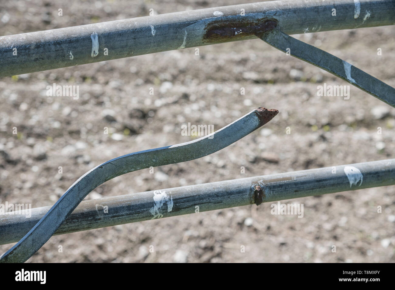 Mangled hi-res stock photography and images - Alamy