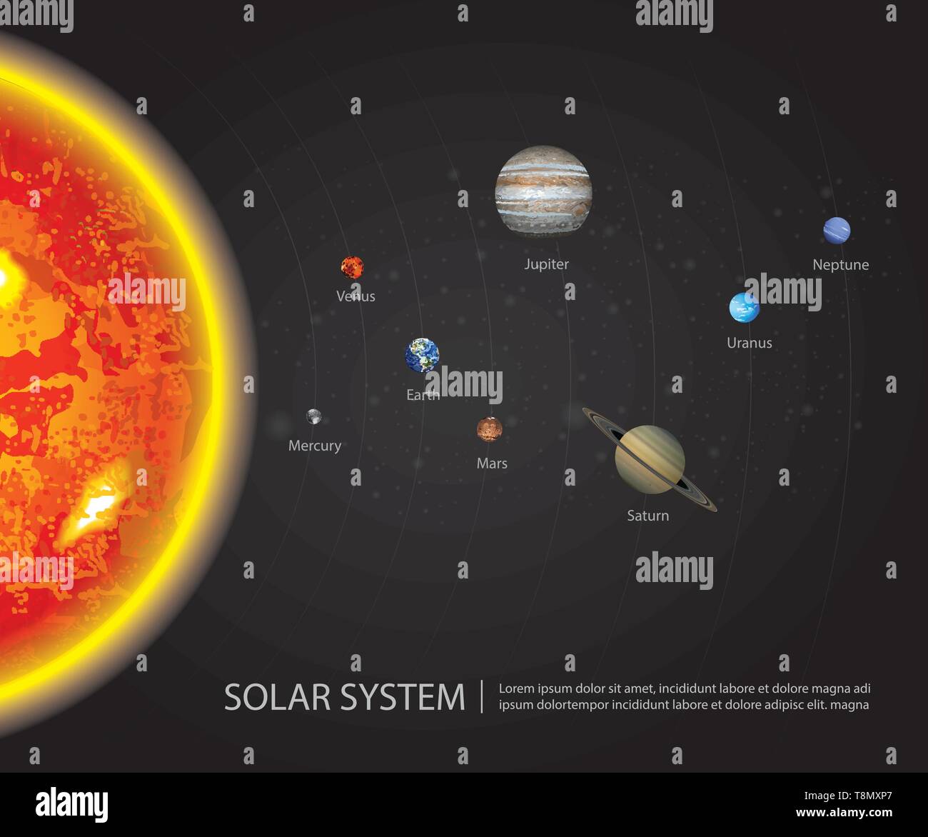 Solar System of our Planets Vector Illustration Stock Vector Image ...