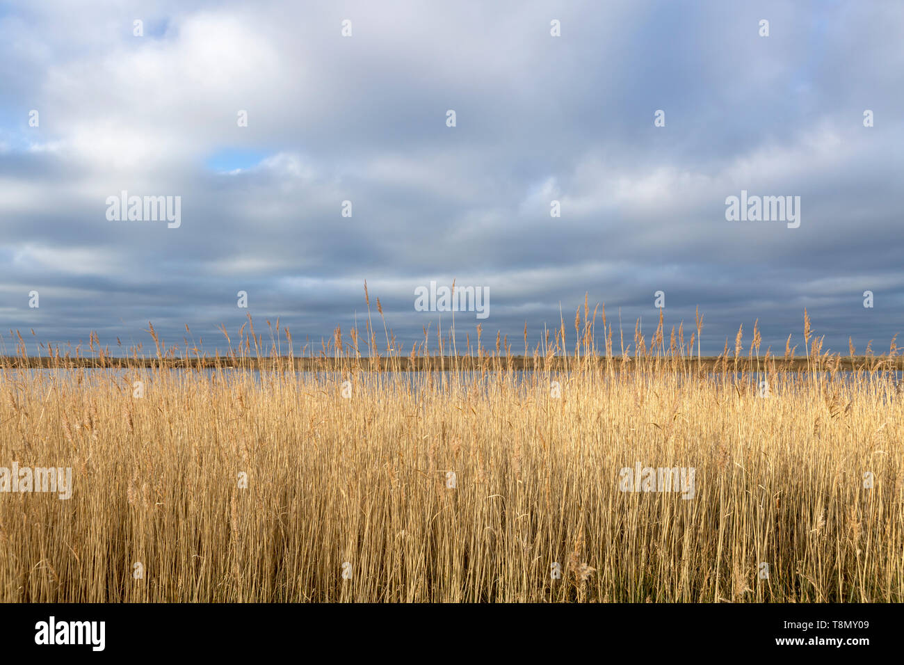 Sweden malmo coast hi-res stock photography and images - Alamy