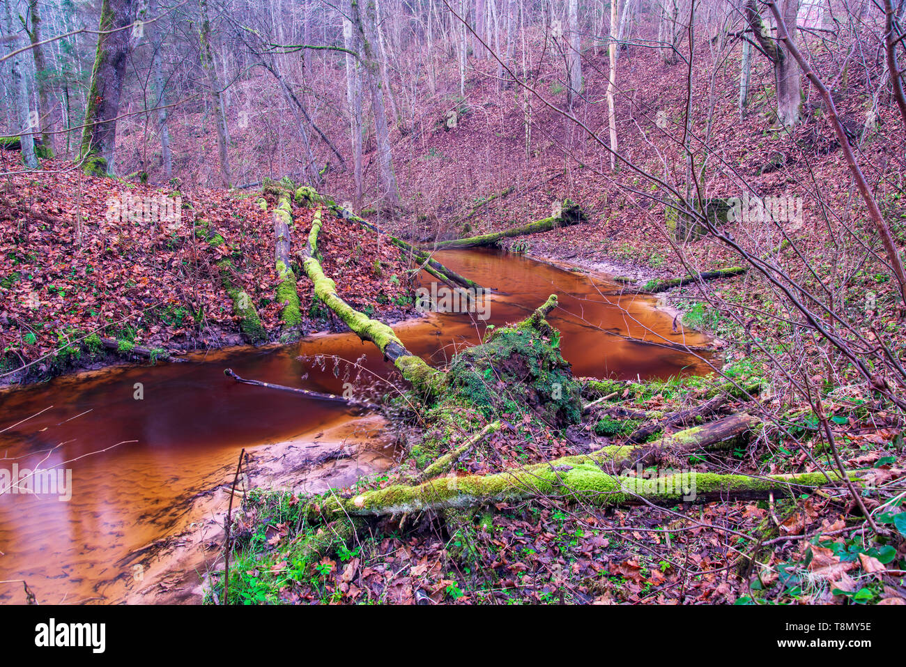 puddle of mud and dirty water in country Stock Photo - Alamy