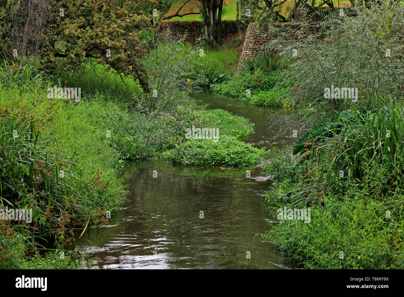 Eerste river hi-res stock photography and images - Alamy