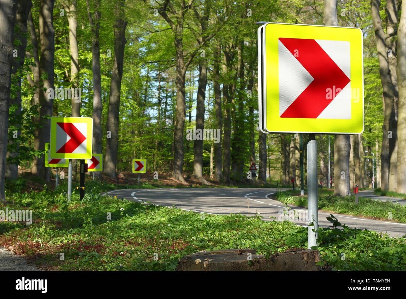 Road signs that indicate that there is a bend in the road, location ...