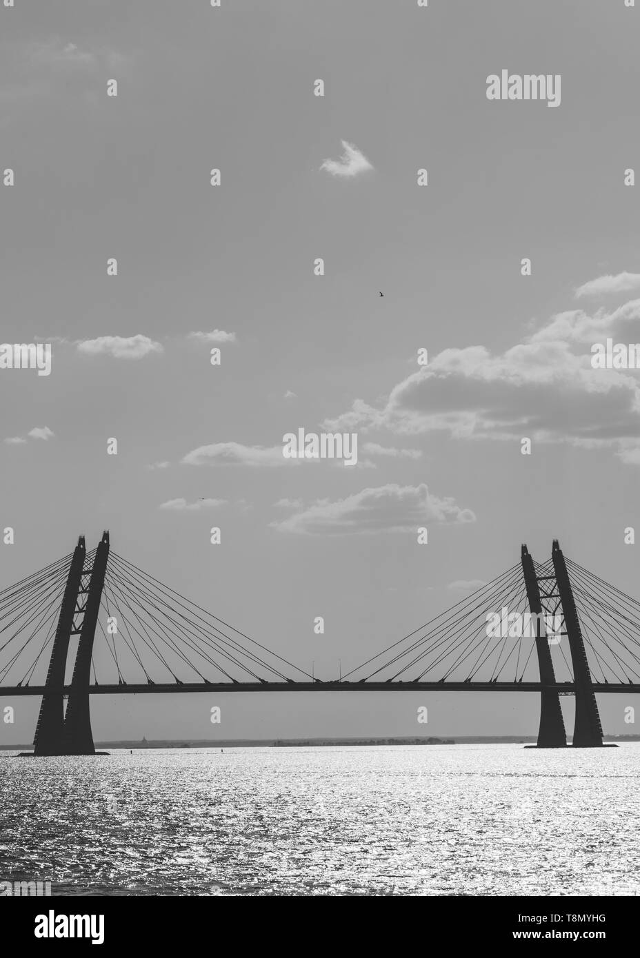 Black and white photography of modern car bridge over water Stock Photo ...
