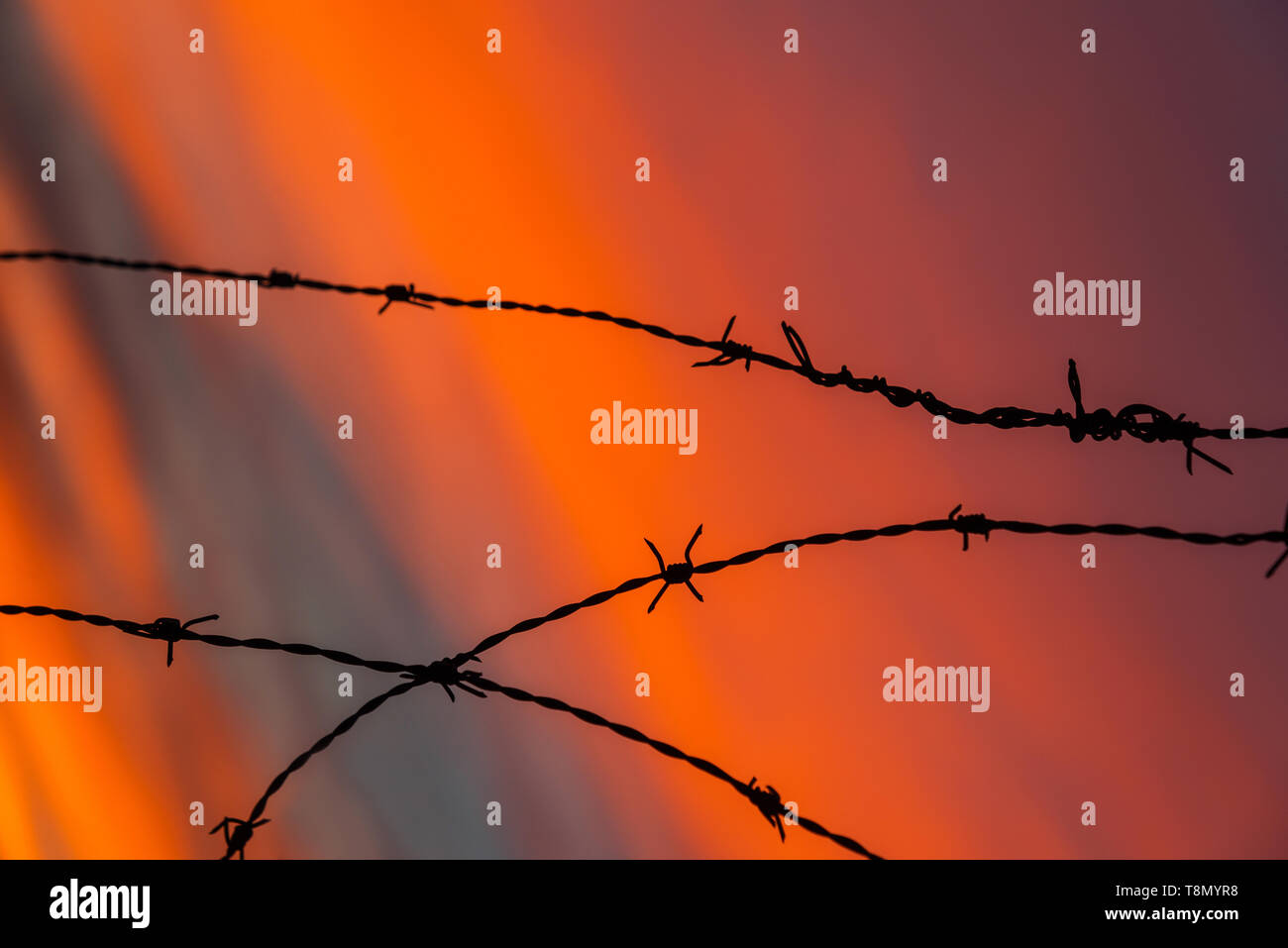 Barbed wire strands with sunset sky as background Stock Photo - Alamy