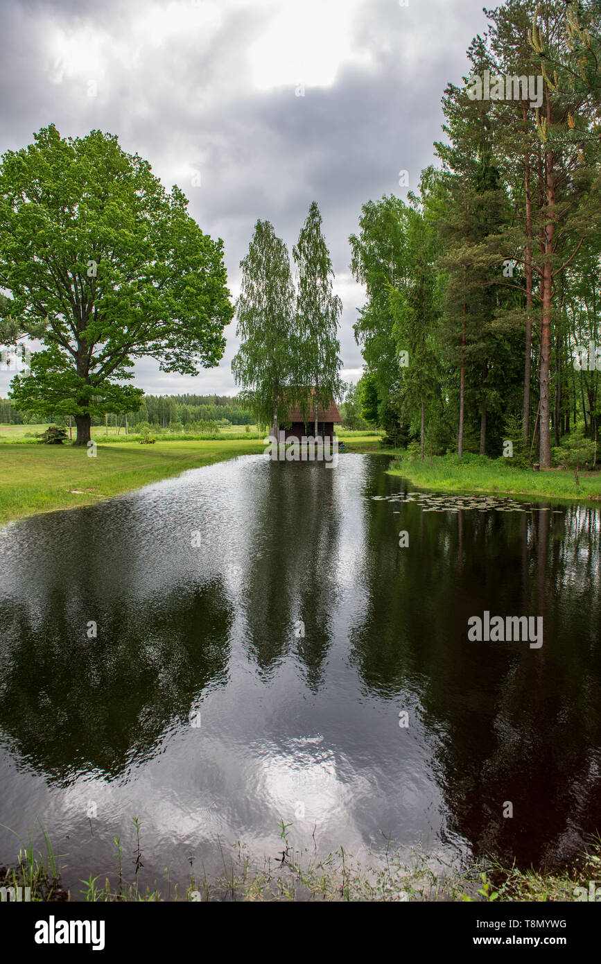 reflections of shore trees in the calm water of a lake in countryside ...
