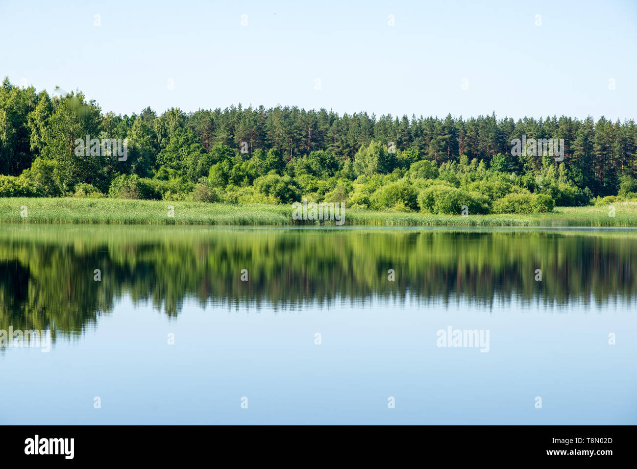 reflections of shore trees in the calm water of a lake in countryside ...