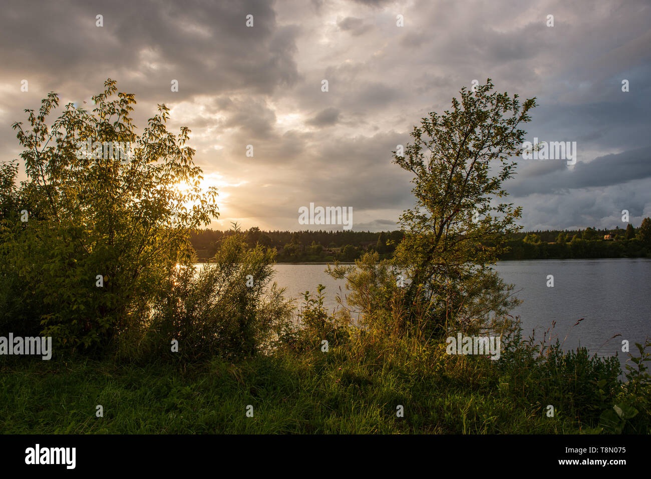 reflections of shore trees in the calm water of a lake in countryside ...