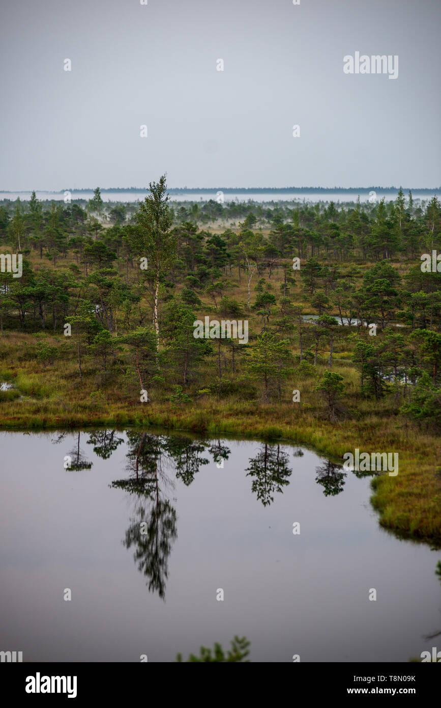reflections of shore trees in the calm water of a lake in countryside ...