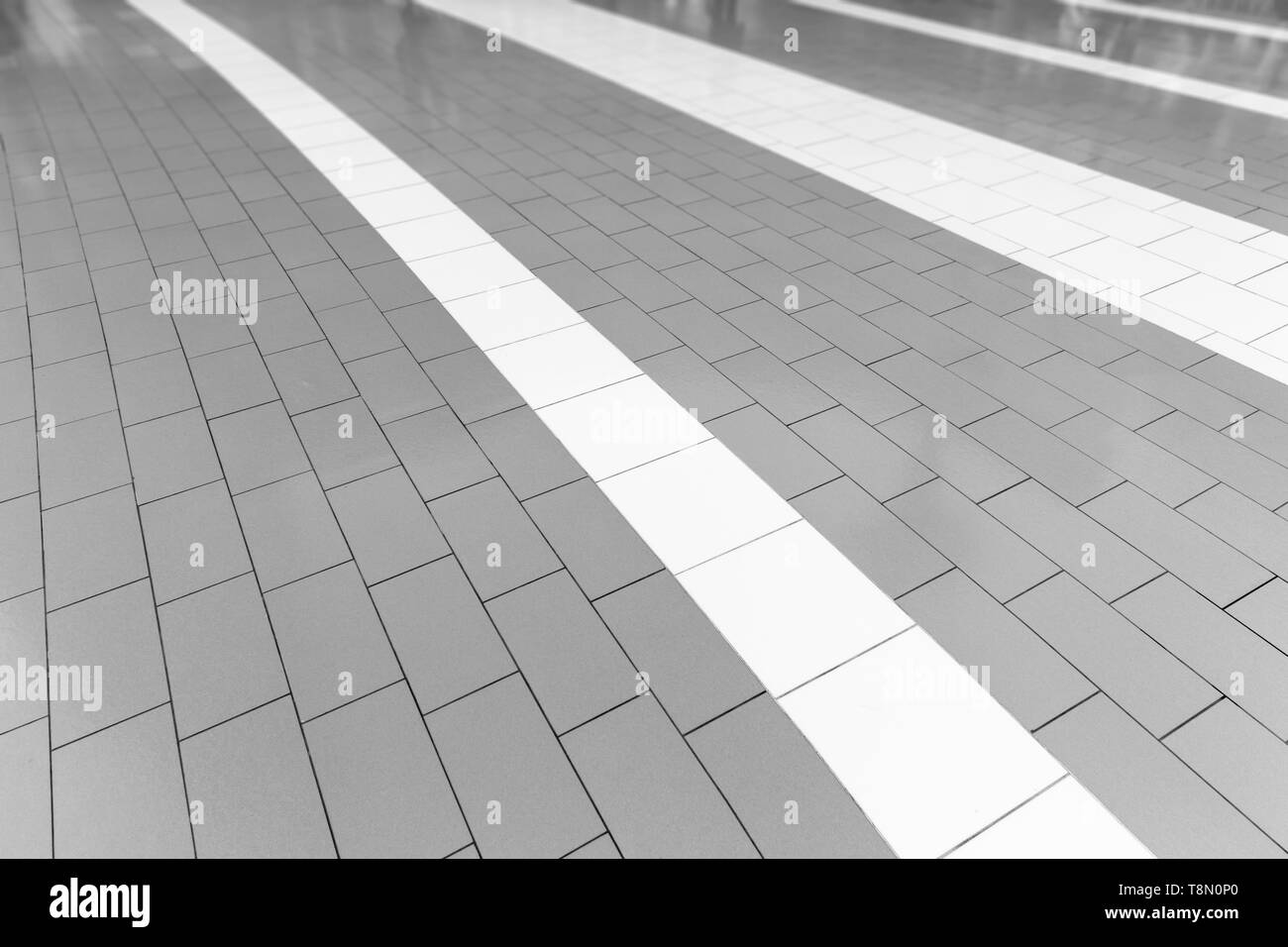 Street gray striped pavement of polished paving stones Stock Photo - Alamy