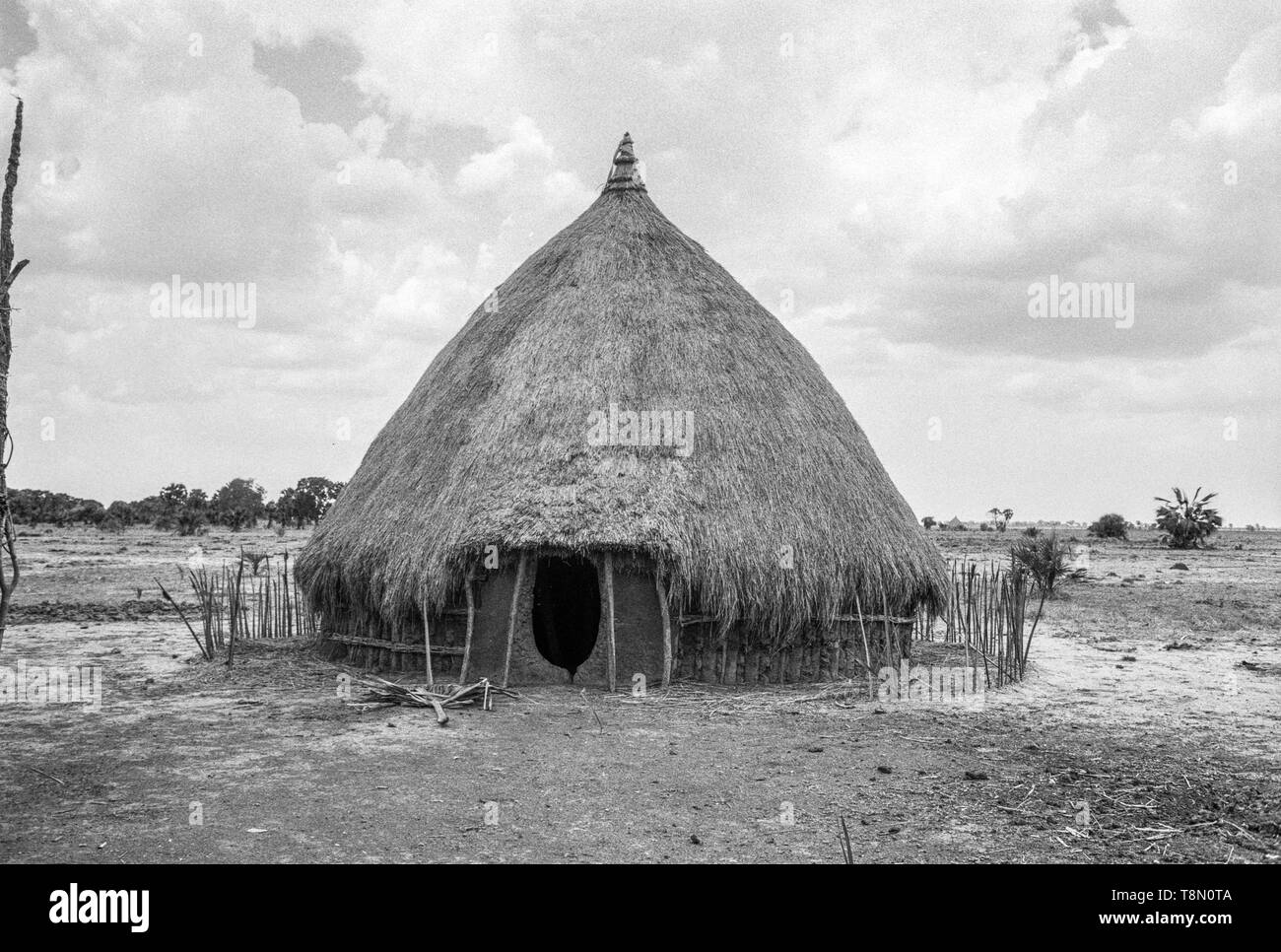 Neur Tribe with their smooth thatched huts Stock Photo - Alamy