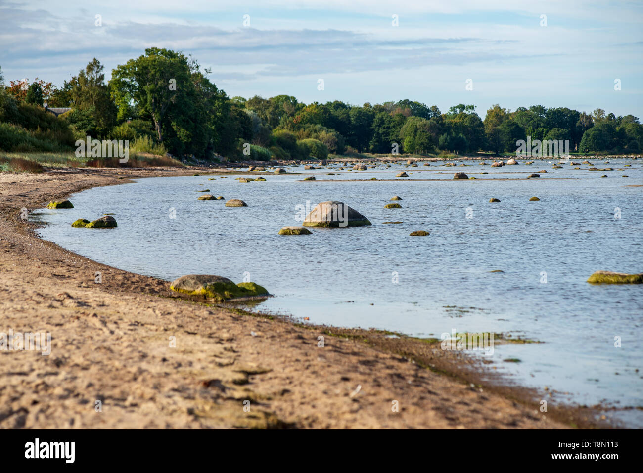 empty sea beach with rocks and grass in summer with low tide. Baltic sea, Latvia shore Stock ...