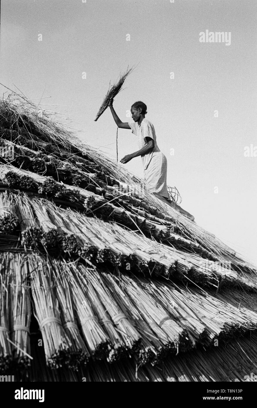 Dinka tribe hi-res stock photography and images - Alamy