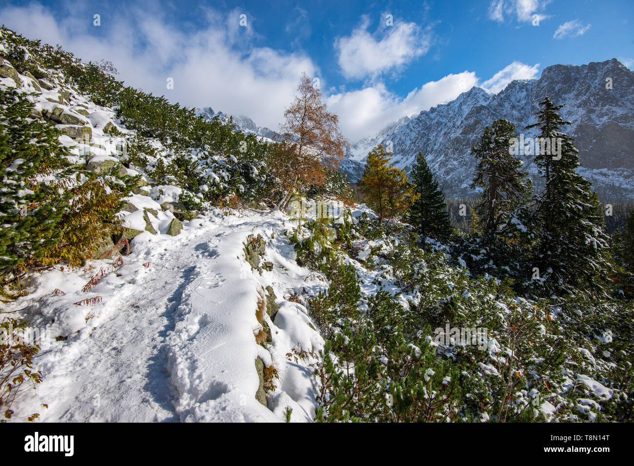 snow covered tourist trails for hiking in slovakia tatra mountains ...