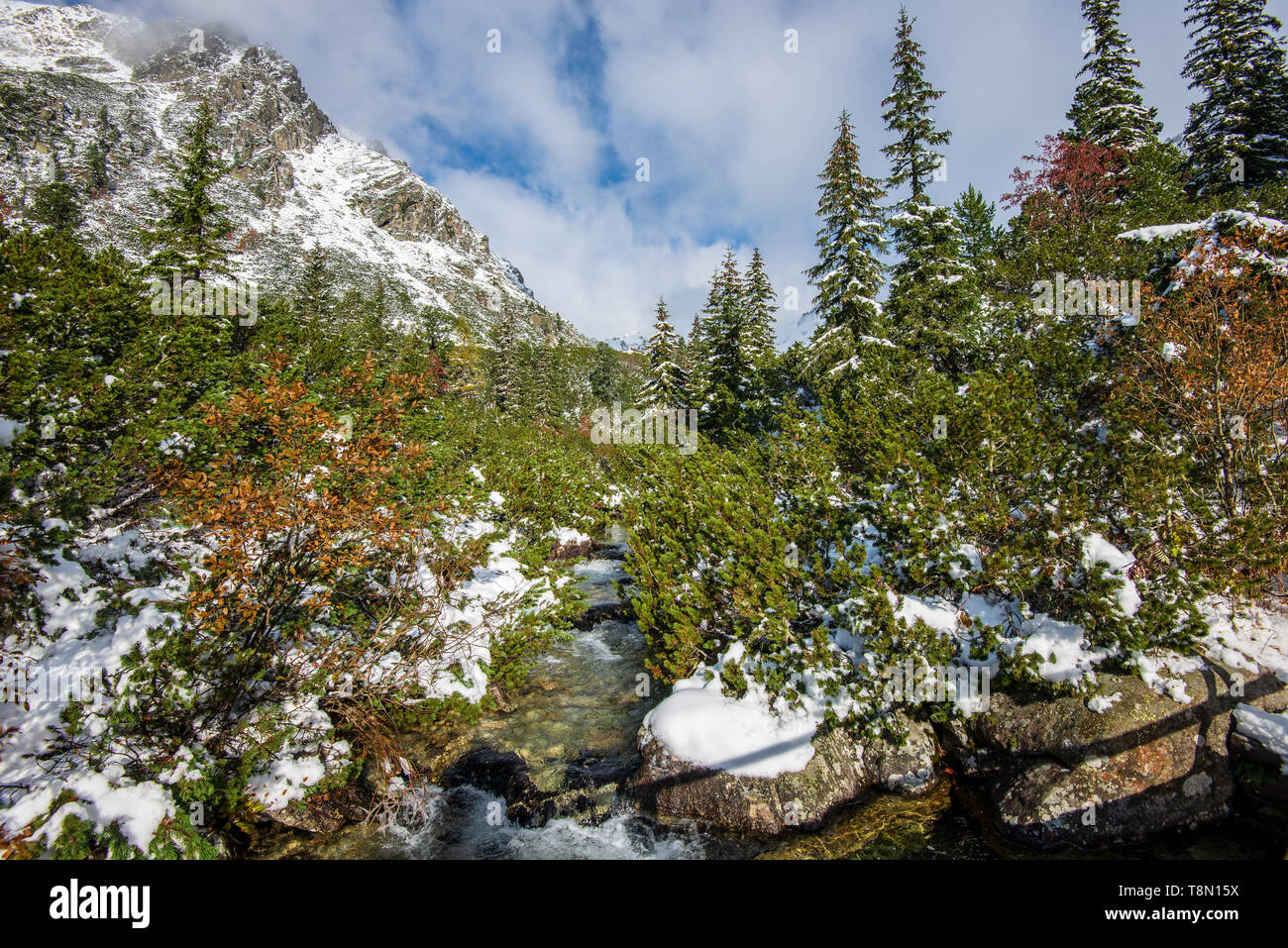 snow covered tourist trails for hiking in slovakia tatra mountains ...