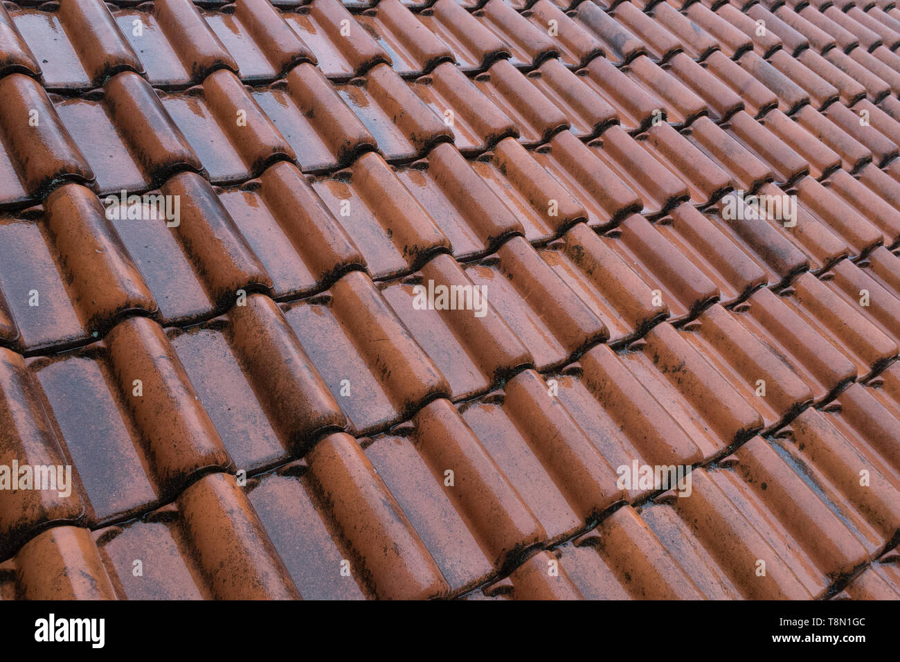 Orange roof tiles hi-res stock photography and images - Alamy