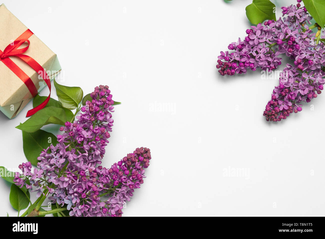 Top view of sprig of lilac bouquet, gift box with red tape on blue ...