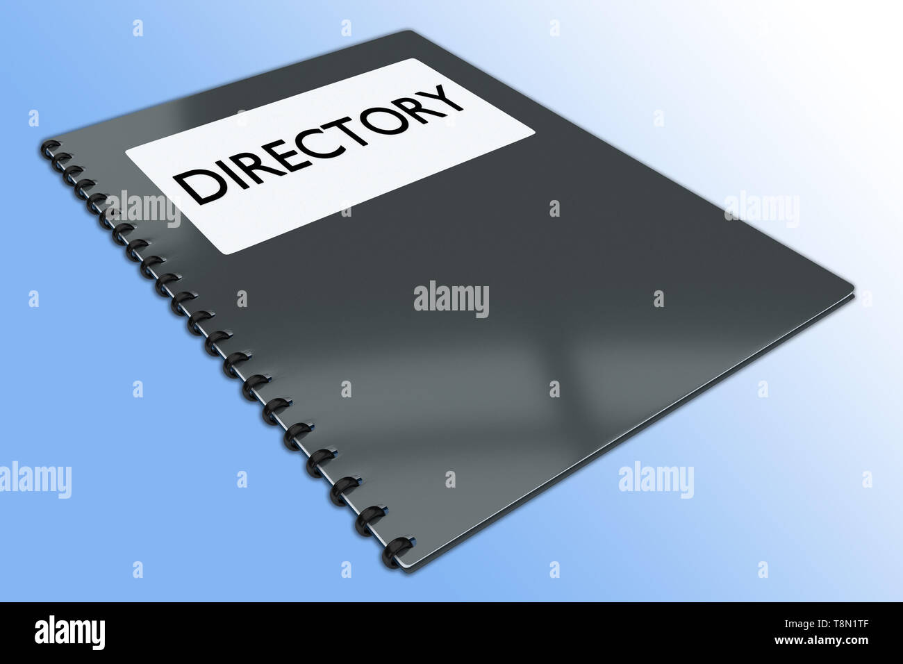 3D illustration of DIRECTORY script on a booklet, isolated on pale blue ...