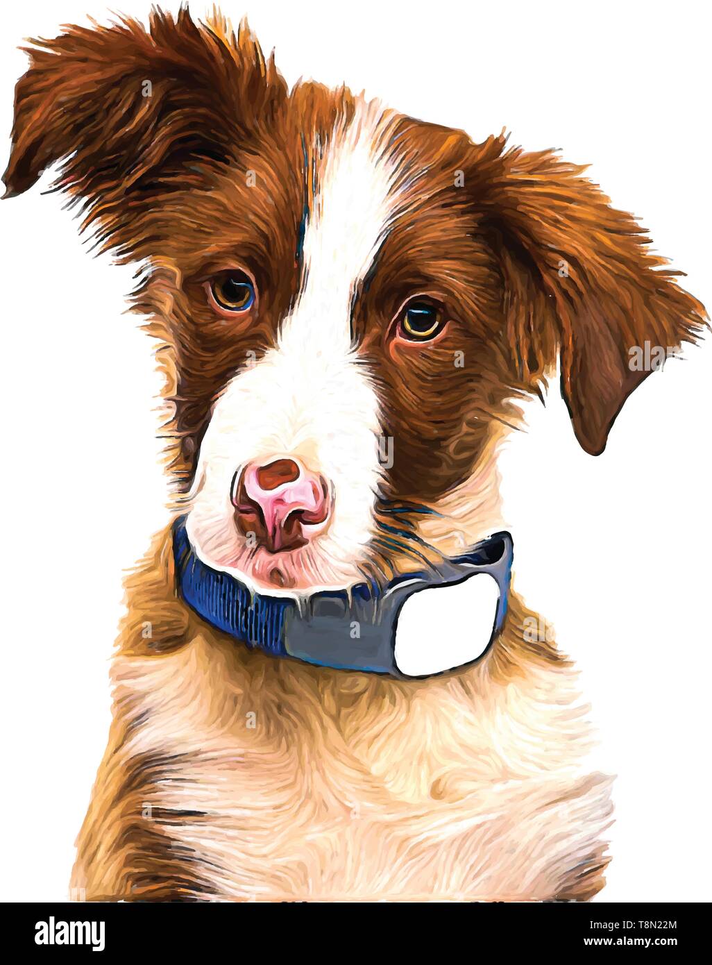 Vector Illustration of a Dog Stock Vector Image & Art - Alamy