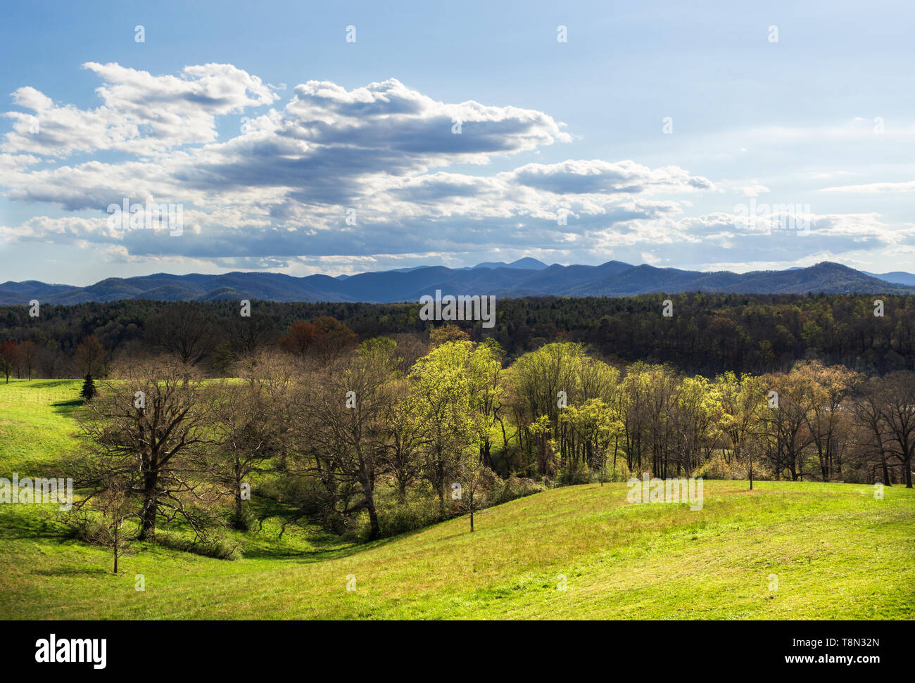 The view from the South Terrace shows the Blue Ridge Mountains in early ...