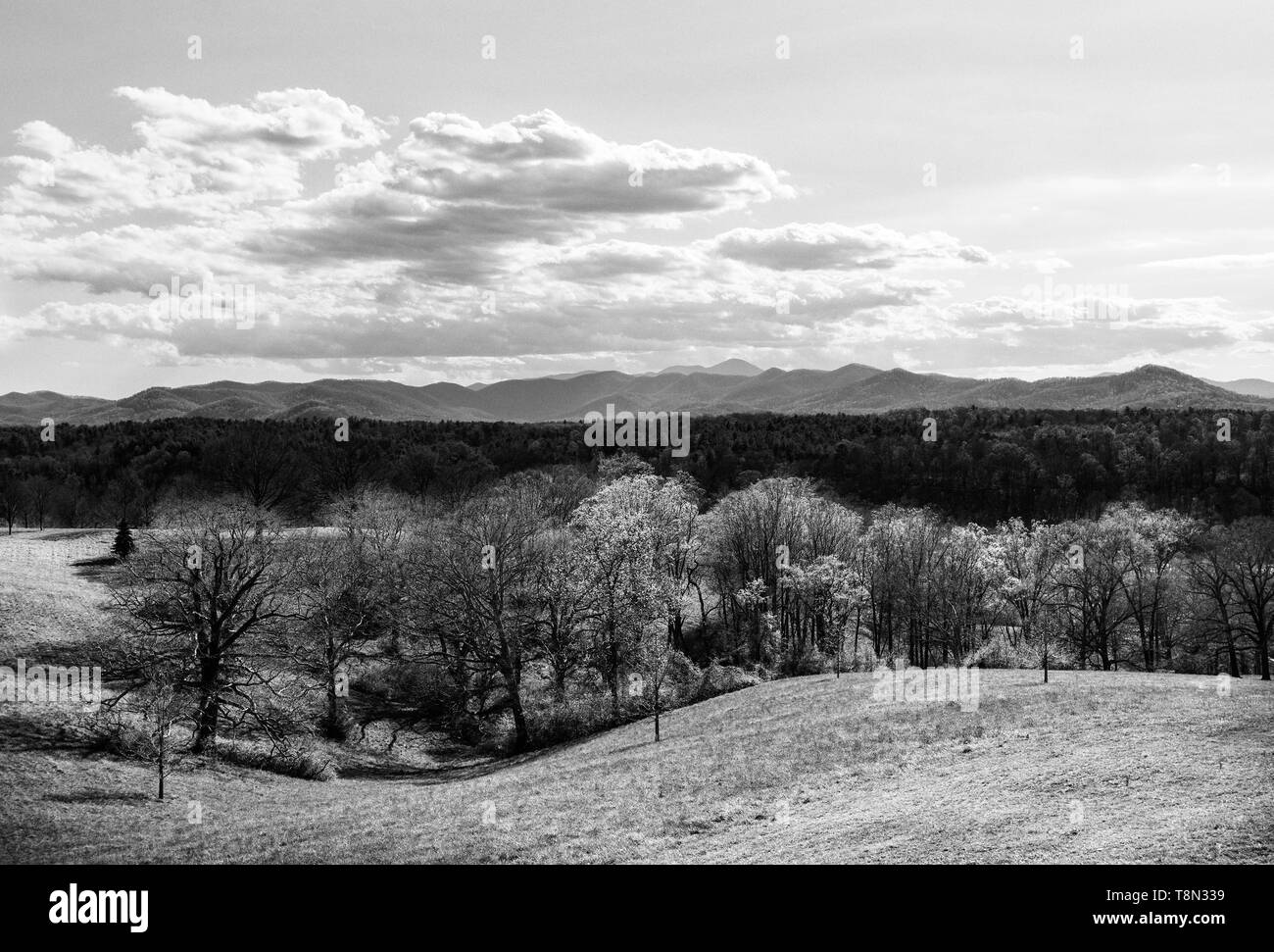 Early spring in great Black and White Stock Photos & Images - Alamy