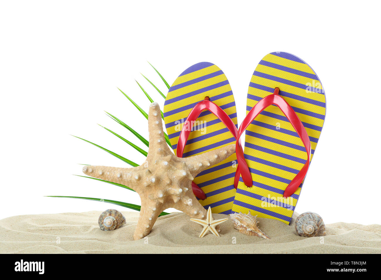 Flip flops with starfish, seashells and palm leaf on clear sea sand ...