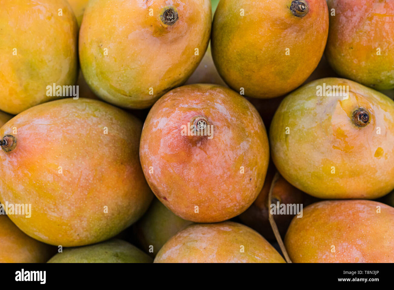 Mangoes beach hi-res stock photography and images - Alamy