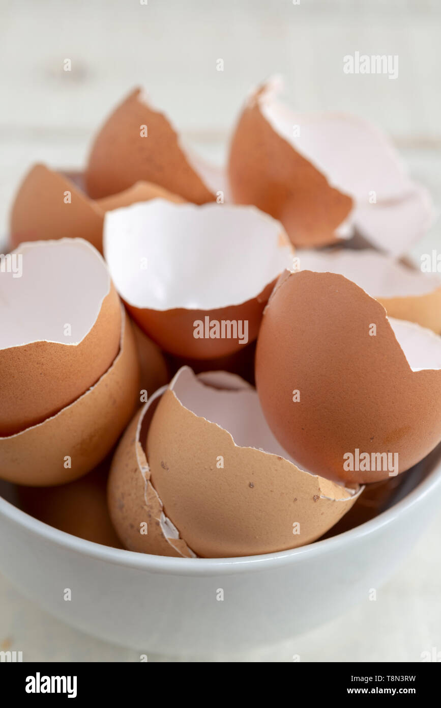 Broken shells hi-res stock photography and images - Alamy