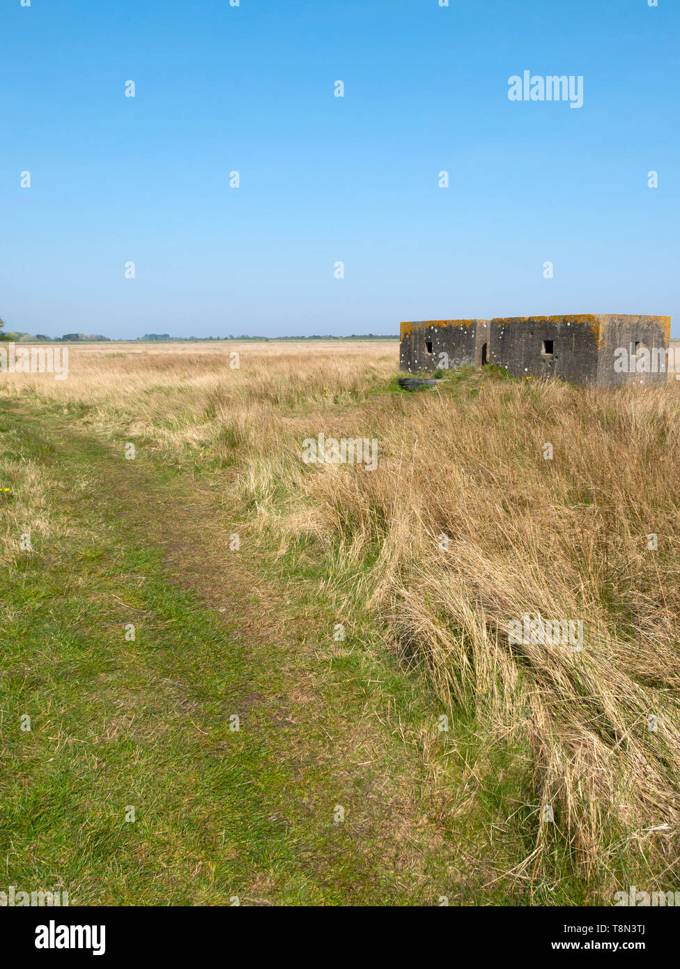 Saltfleetby dunes hi-res stock photography and images - Alamy