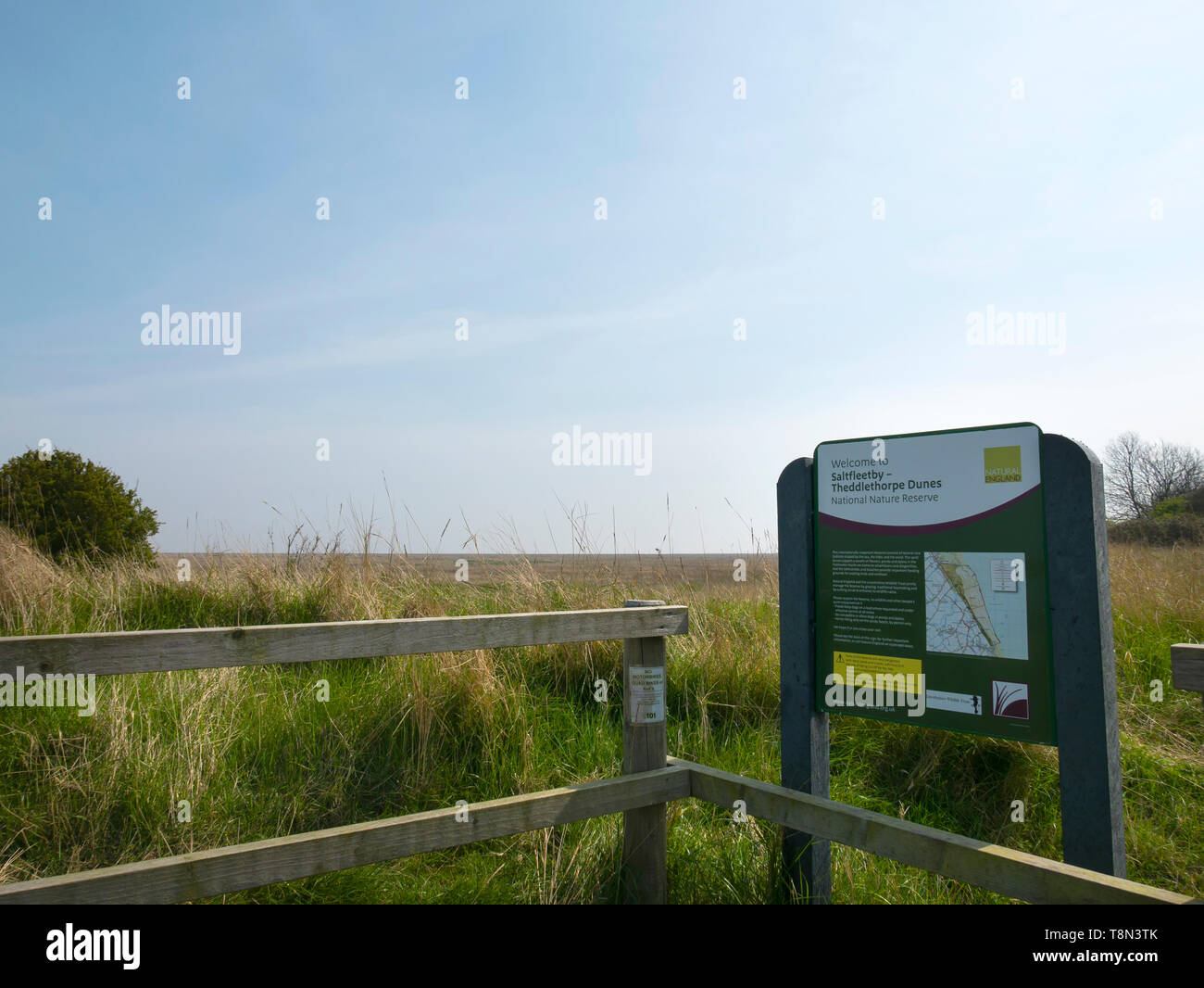 Saltfleetby theddlethorpe dunes nature reserve hi-res stock photography ...
