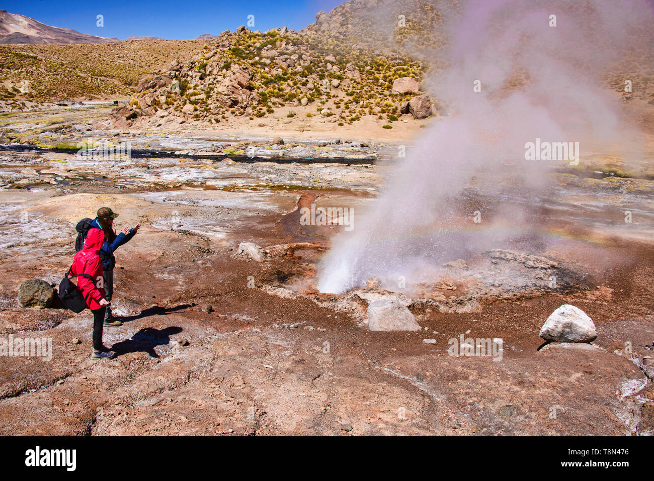 Watching A Geyser Erupt Along The Rio Blanco El Tatio San Pedro De