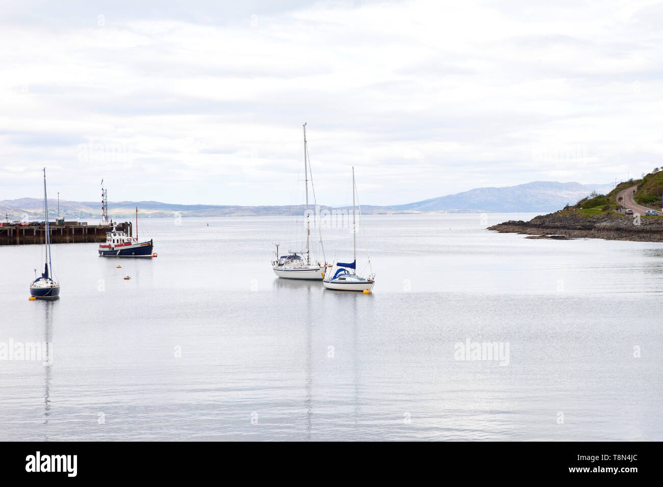 Boats in the harbour in Mallaig fishing port in the Scottish Highlands ...