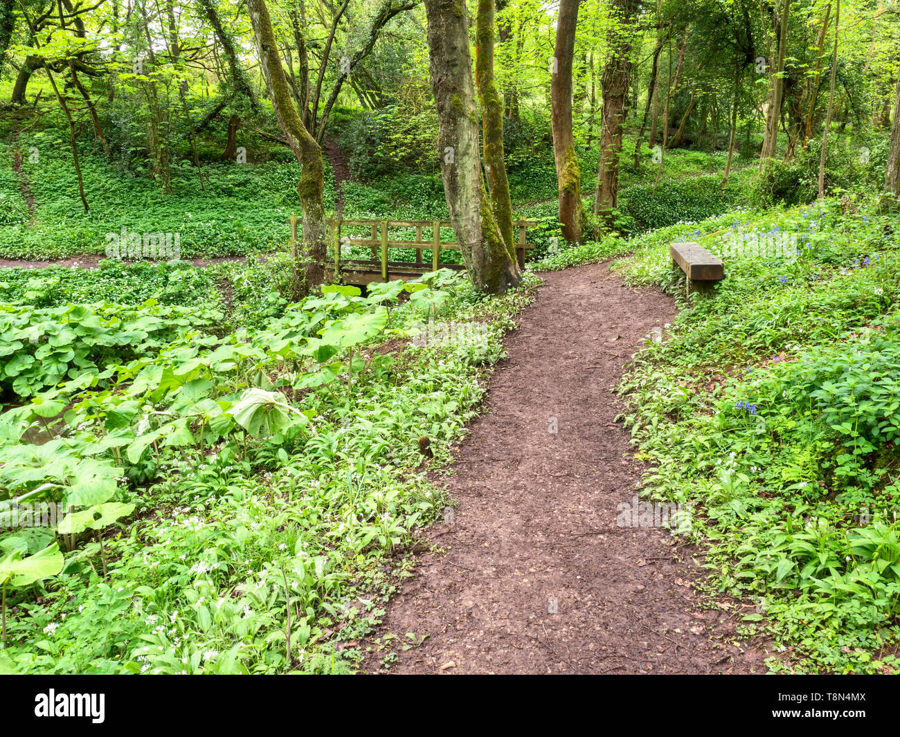 Seat by a path in Mackintosh Park in the Nidd Gorge near Knaresborough ...