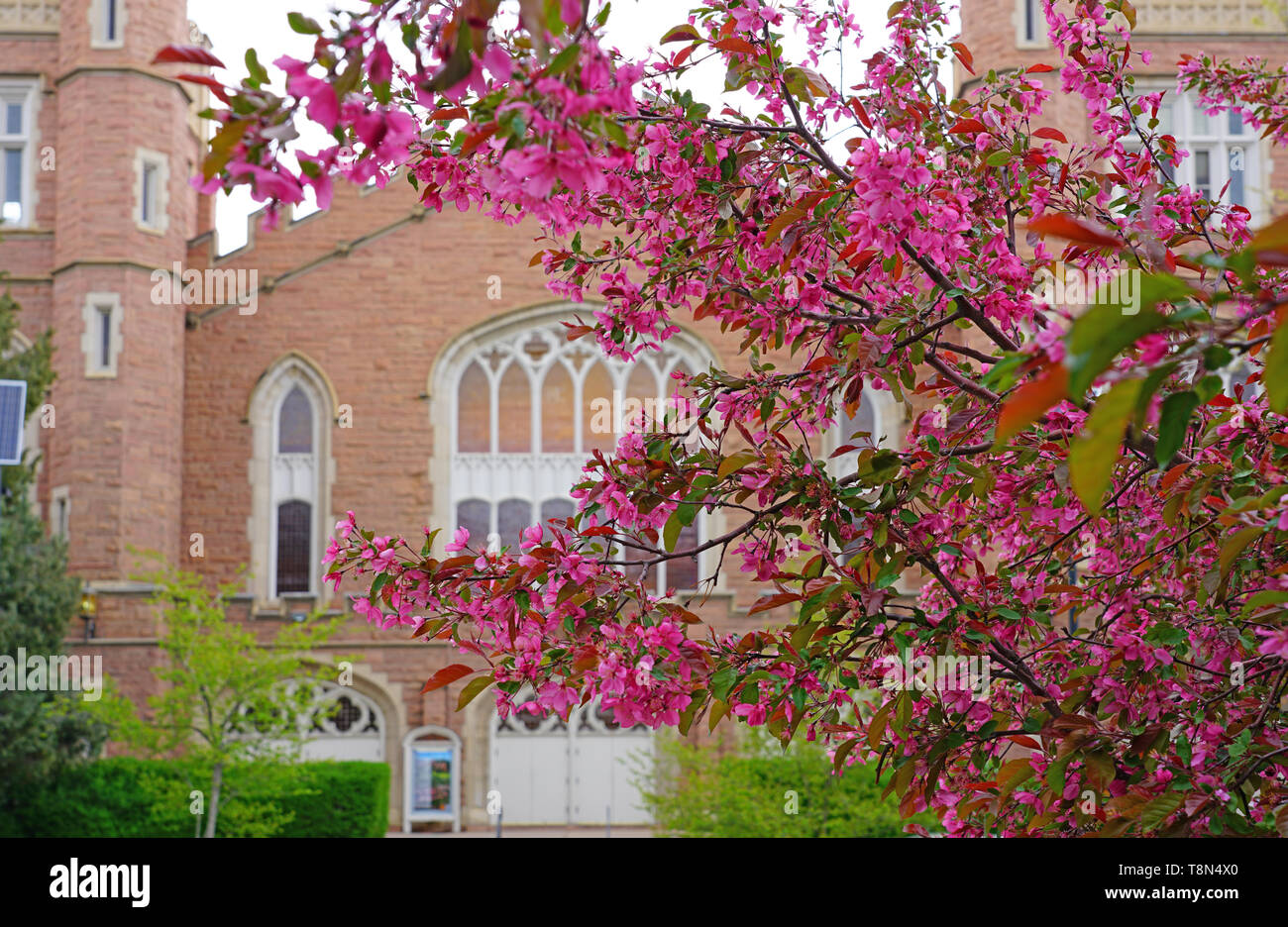 BOULDER, CO -10 MAY 2019- View of the college campus of the University ...