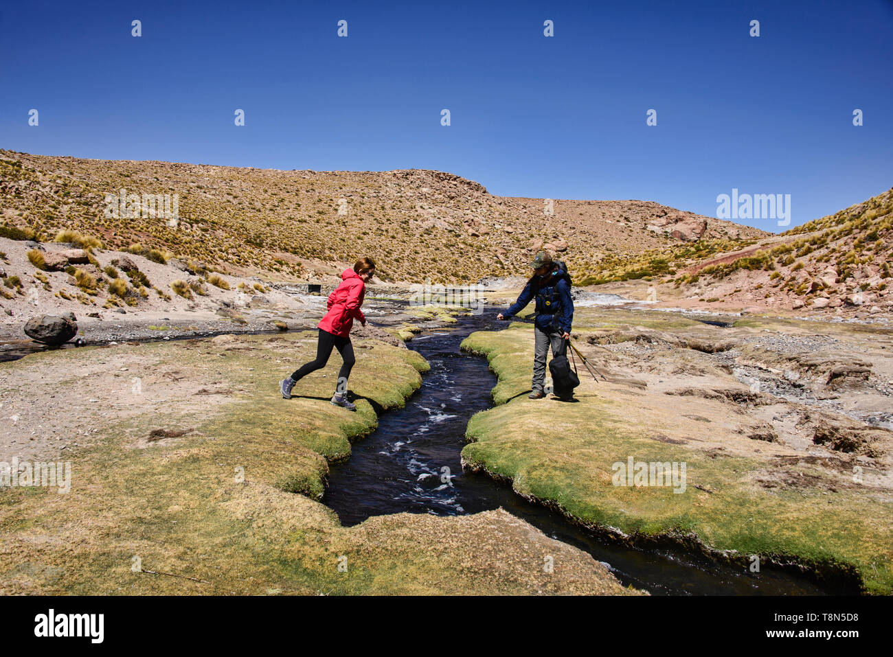 Hiking along the Rio Blanco thermal river near El Tatio Geyser, San ...