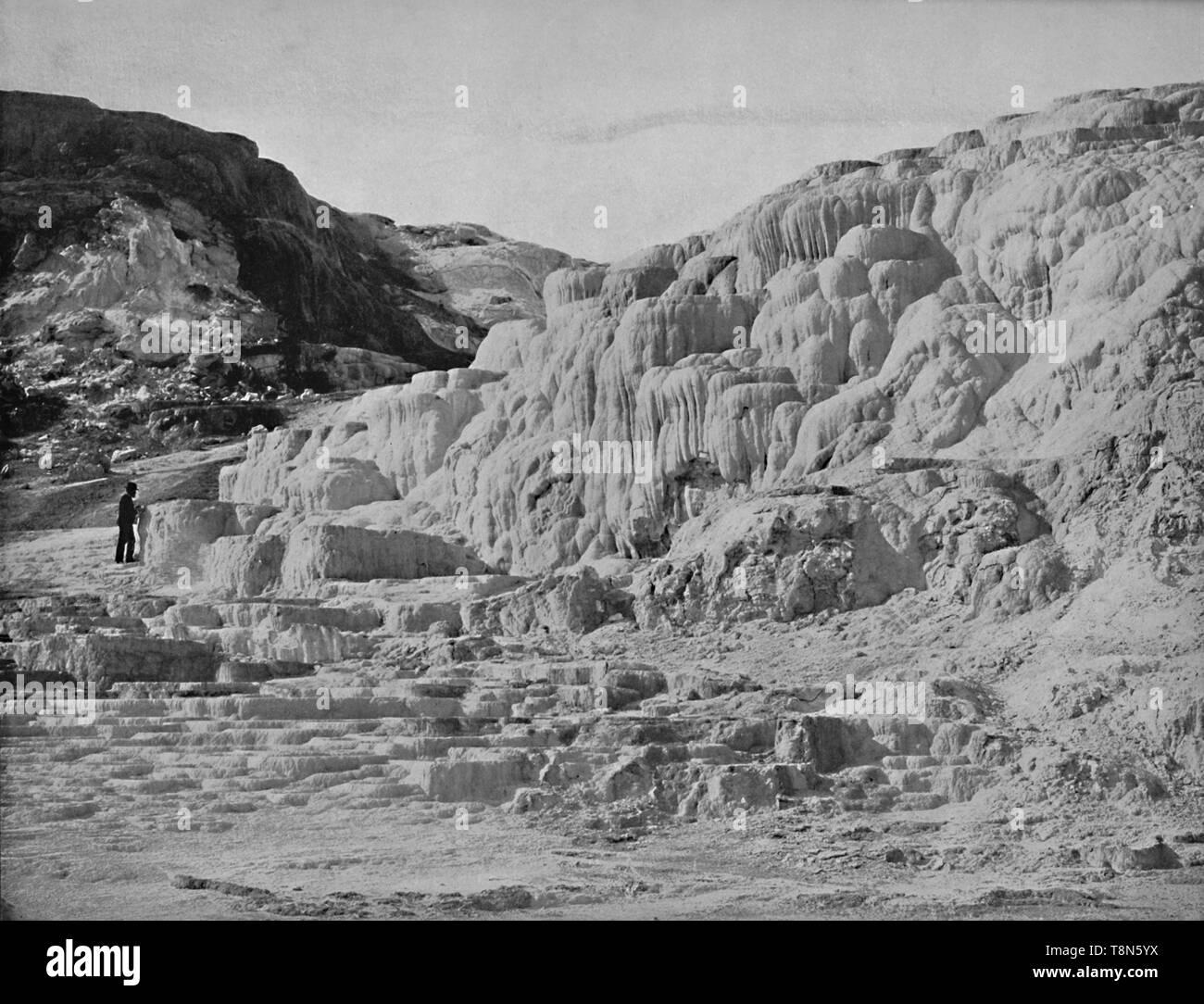 Minerva terrace mammoth hot springs Black and White Stock Photos ...