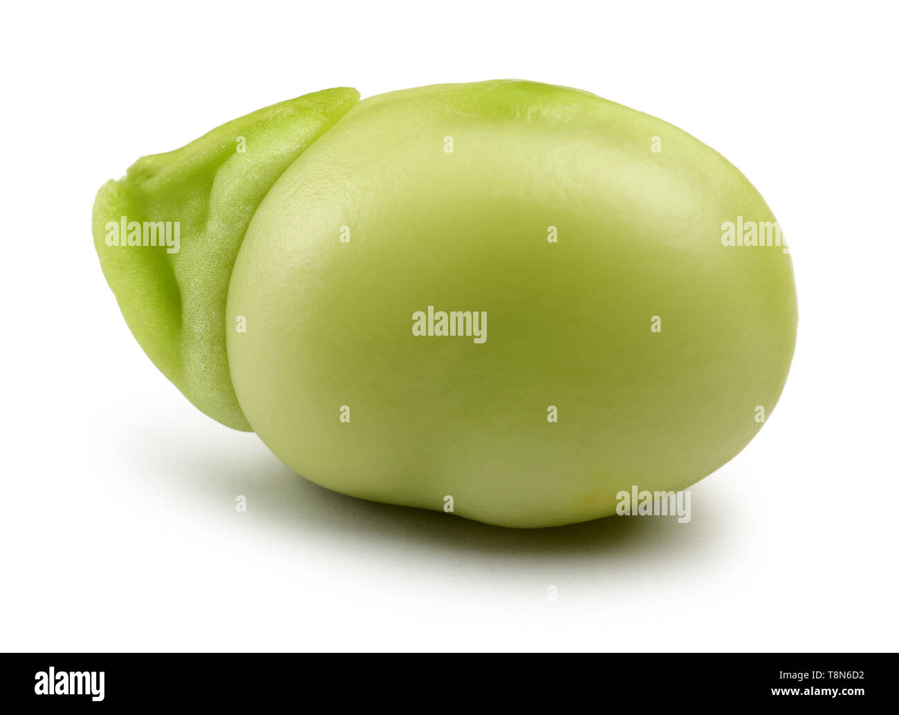 Fresh green broad bean isolated on white background Stock Photo - Alamy