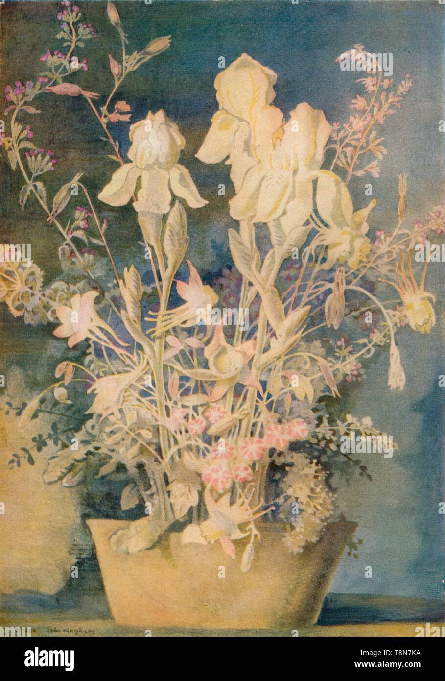 'Flower Painting by George Sheringham', c1910-1920, (1936). Creator ...