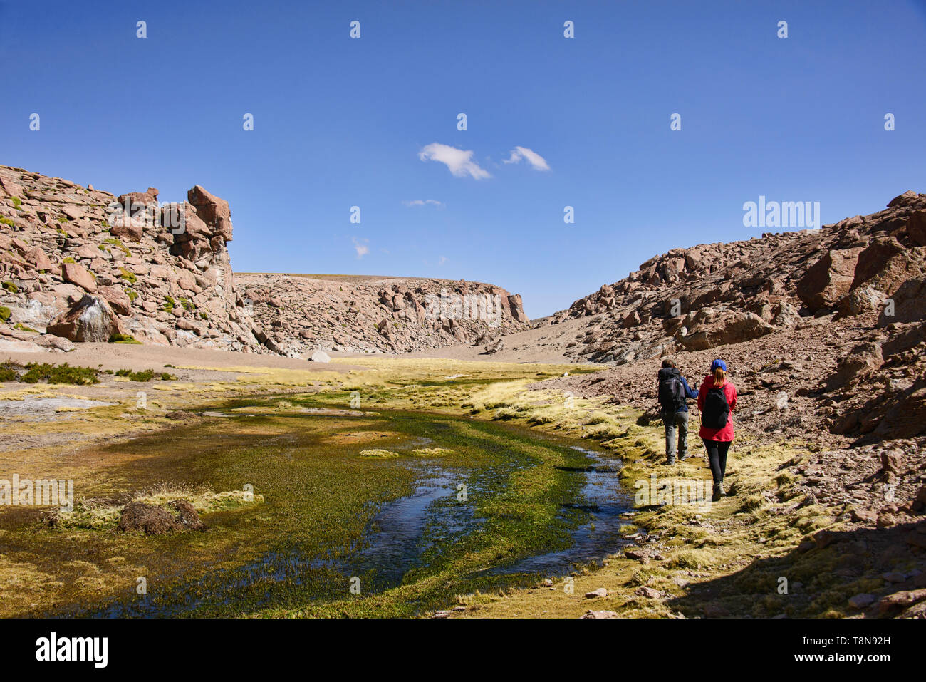 Hiking along the Rio Blanco thermal river near El Tatio Geyser, San ...