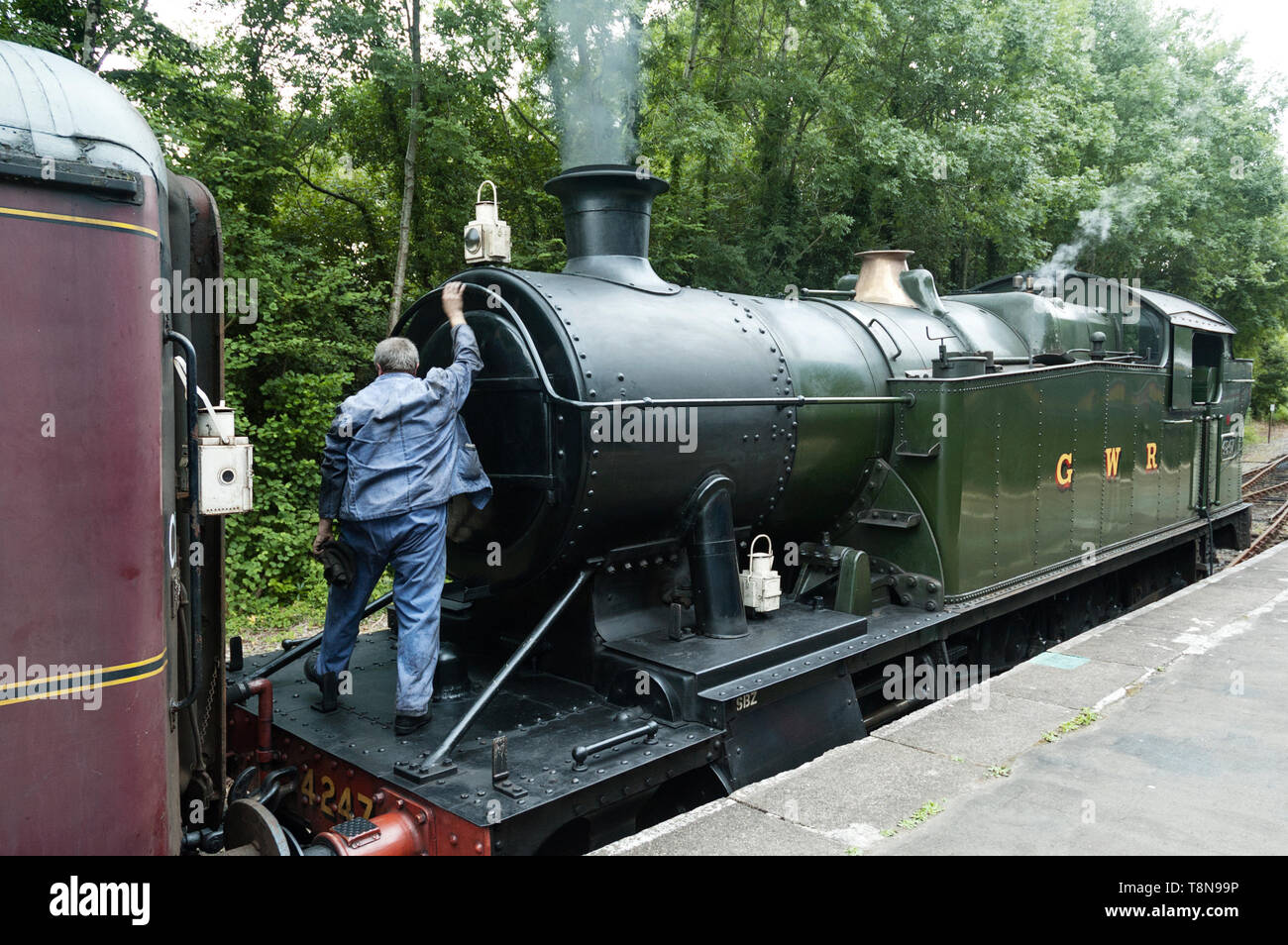 Train driver checking front of GWR class 2-8-0T 4247 train at Bodmin ...
