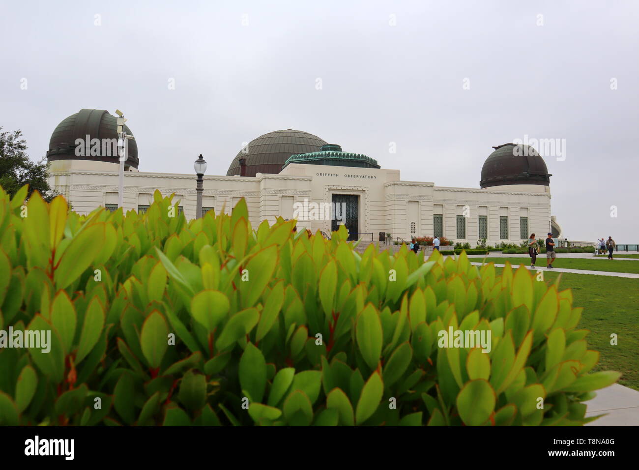The Griffith Observatory in Los Angeles - California Stock Photo - Alamy