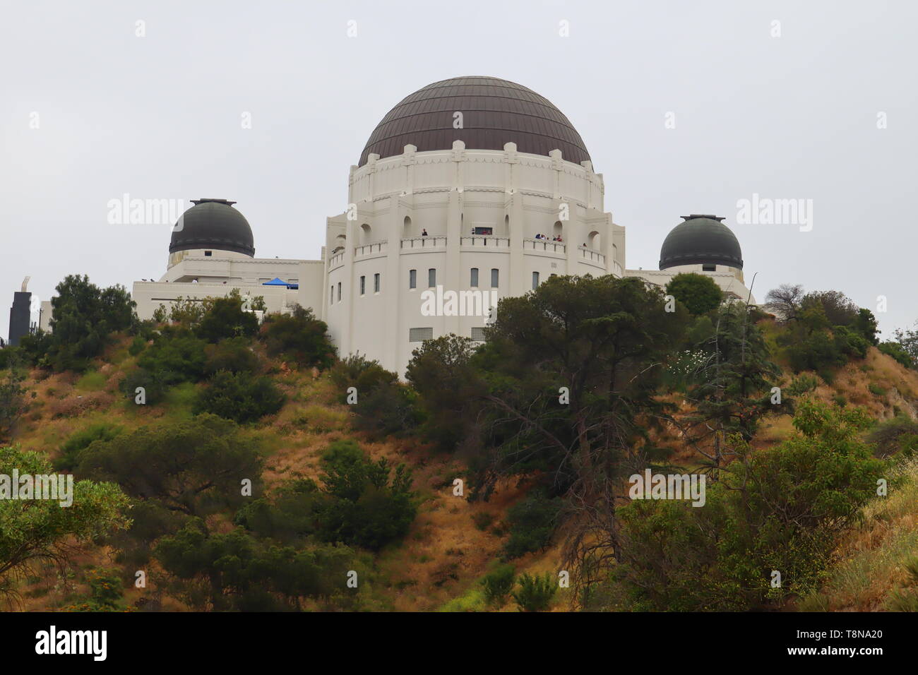 The Griffith Observatory in Los Angeles - California Stock Photo - Alamy