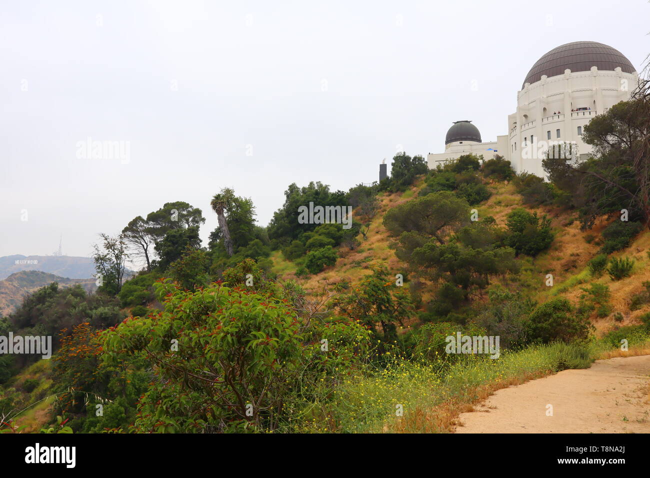 The Griffith Observatory in Los Angeles - California Stock Photo - Alamy