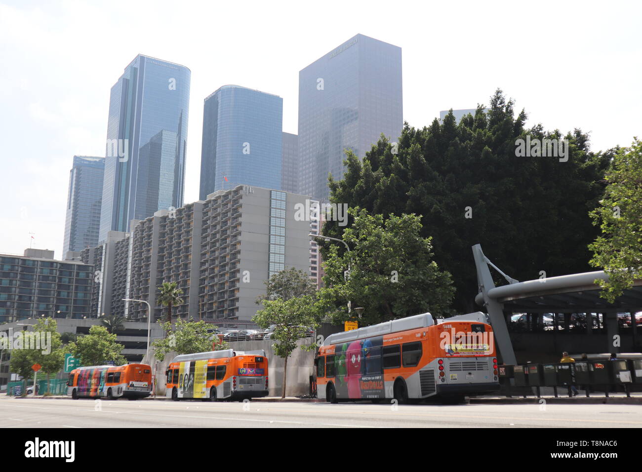 view of Los Angeles Metro Bus - Public Transport of Los Angeles County ...
