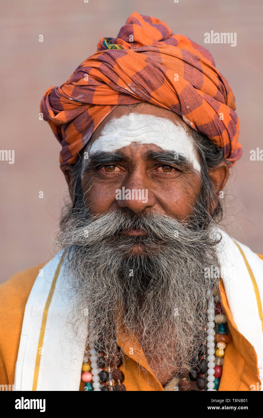 Portrait of a Sadhu (holy man), Varanasi, India Stock Photo - Alamy